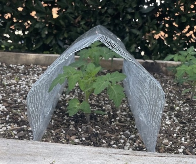 Large Covered Cloche - Plant Screens and Cloches